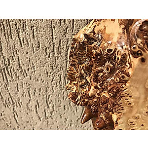 Table top from poplar burl slab, live edge table top, poplar burl, slab burl