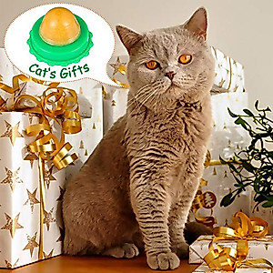 Nuanchu 6 Pieces Cat Snacks Candy Ball Lickable Sugar Ball Cat Toy Edible Catnip Balls Cat Treats Candy Ball Catnip Candy Kitten Licking Sweet Ball Treats Licking Candy (Green)