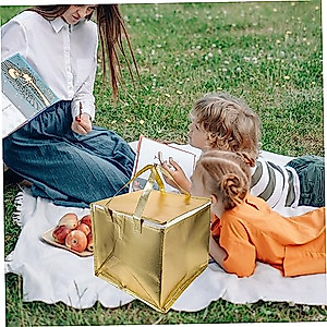 Insulation Bags Pizza Carrier Insulated Bags Tote Bags Shopping Bags Insulated Bags for Shopping Food Bag Insulated Shopping Bag Food Storage Bag Cold Food Bags ABOOFAN