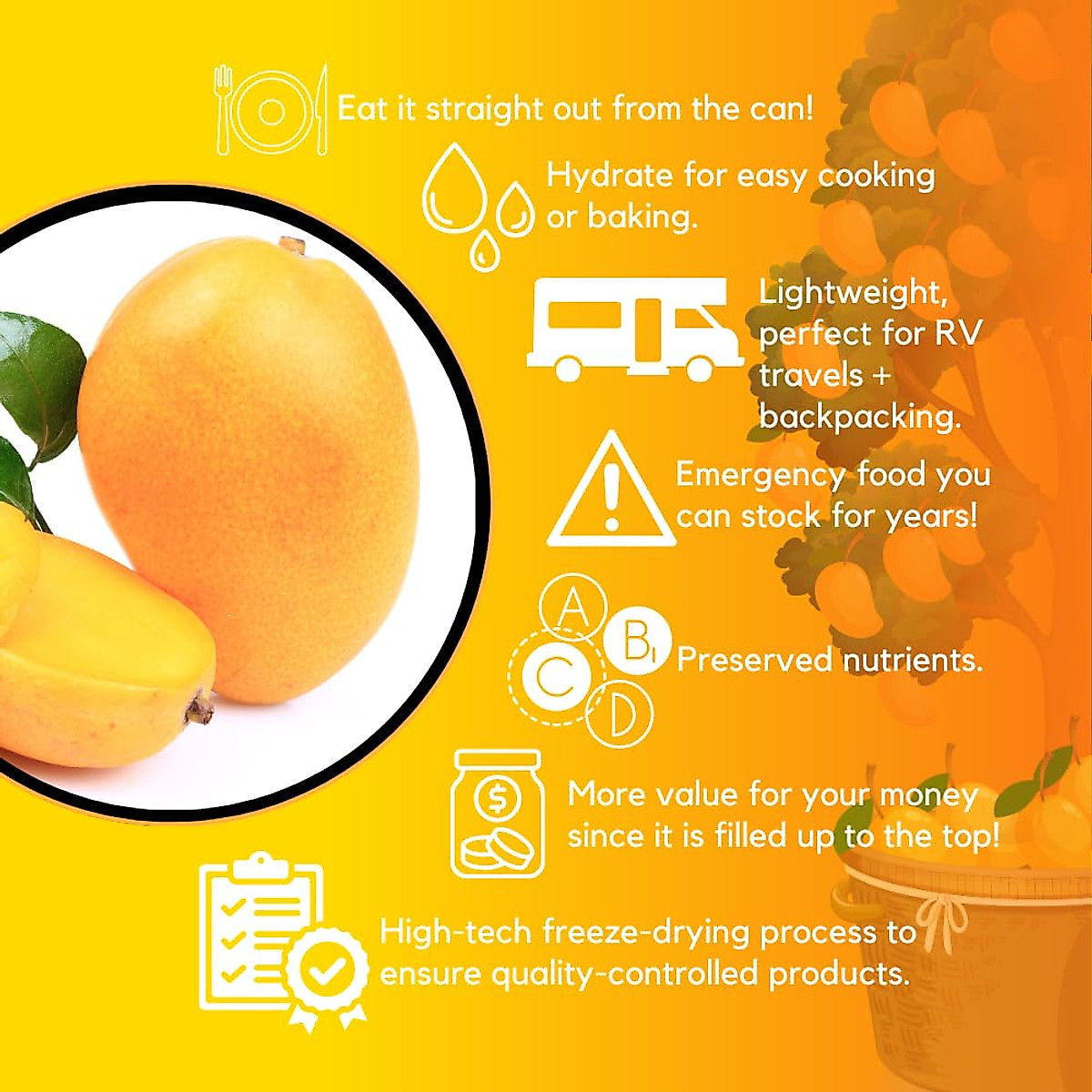 Ready Harvest Freeze Dried Mango Freeze Dried Fruit, Freeze Dried Food Gluten Free Snacks, Fruit Snacks, Canned Food, Bug Out Bag Camping Essentials #10 Can, 25-year shelf life 6 cans 397g