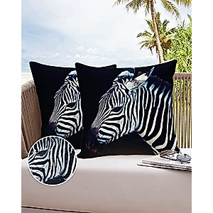 Outdoor Waterproof Pillow Covers for Patio Furniture Zebra Black Background Decorative Throw Pillow Cover Wild Animal Wildlife Pillowcases Set of 2 Cushion Case for Sofa Couch Chair 26 x 26 in