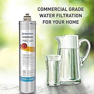Pentair Everpure PBS-400 Drinking Water System, EV927085, Ideal for use in Prep Sink and Wet Bar, Includes Filter Head, Filter Cartridge, All Hardware and Connectors