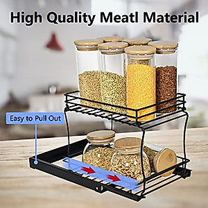 Kozloskyi Pull Out Slide Out Spice Rack Organizer for Cabinet Seasoning Rack Organizer for Kitchen Cabinet, Pantry, Closet, 2-Tier Slide Out Kitchen Cabinets and Pantry Closet Storage