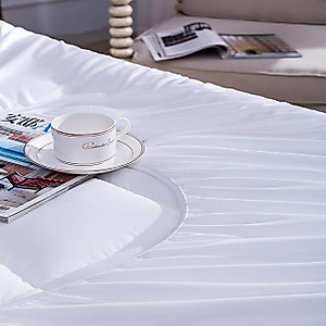 Niagara Microfiber Queen Mattress Topper - Pillow Top Mattress Cover Quilted Fitted Cooling Topper for Back Pain Deep Pocket Fits 20 Inches (60x80 Inches)