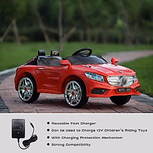 24V Charger for Ride On Car, 24 Volt Kids Battery Charger with Charging Indicator Light for Baby Carriage Ride Toy, 500mA Supply Power Adapter