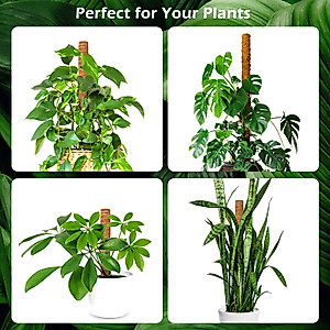 HongWay 77 Inch Moss Pole for Plant Monstera, 6 Pack 17 Inch Moss Plant Support, Monstera Support, Plant Climbing Pole, Moss Plant Stake