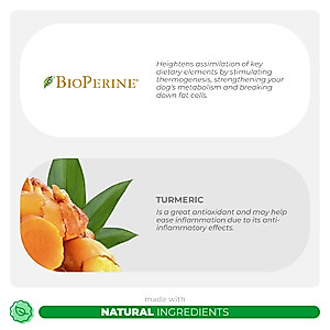 Cranberry + Turmeric for Dogs Bundle - Urinary Tract & Anti Inflammatory Support - UT Support, Joint Support, Antioxidant Combo