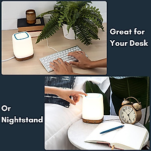 Macally LED Table Lamp with USB Port (4 Fast Charge Ports) - 3 Level Brightness Touch Sensor Control - Small Bedside Lamp with USB Port & (2700K) Warm White - LED Desk Lamp with USB Charging Port
