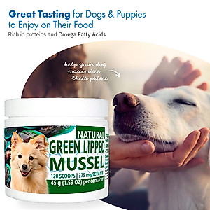 Equa Holistics Green Lipped Mussel Powder for Dogs, All-Natural Hip & Joint Support Dietary Supplement Formula for Dogs (120 Servings)