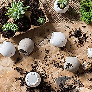 Egg Shell Succulent Flowerpot Desktop Stand Small Succulent Pots Bonsai Pots Planters for Indoor Plants Porcelain Plant Pots Flower Decor Concrete Nursery Earth Tones Office