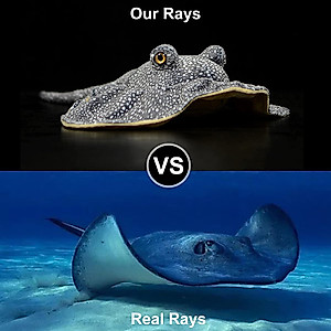 ZHONGXIN MADE Simulation Stingray Fish Plush Toys Stuffed Animal - 20 inch Manta Ray Bass Leopard Stingray Fish Deep Sea Toy, Cute Skate Fish Toy as Gift for Kids