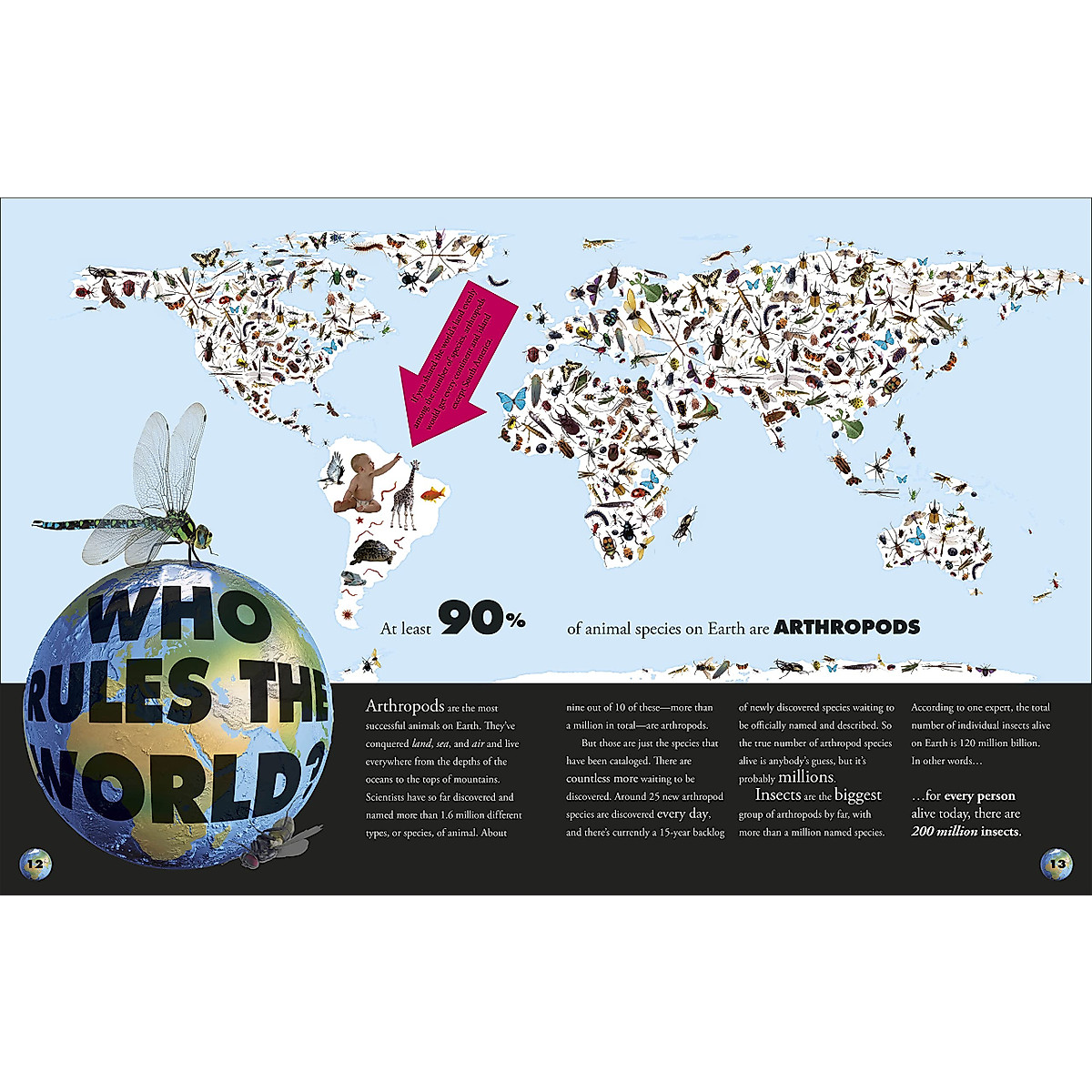 Everything You Need to Know About Bugs