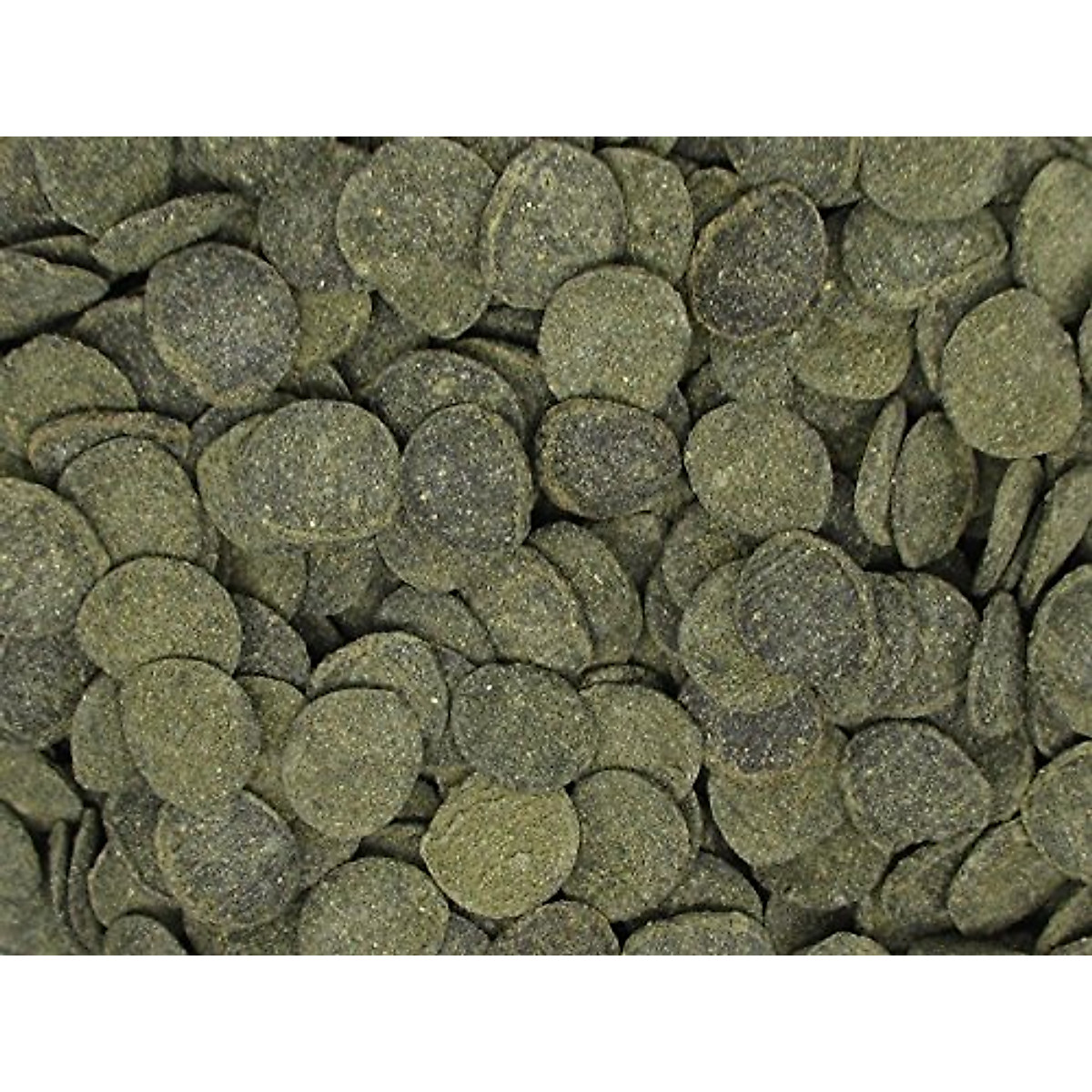 Invert Aquatics Mini Algae Discs - Sinking Diet for Snails, Shrimp & Bottom Feeding Fish (3 oz (85g))