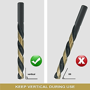 BeHappy Drill Bit Set 29Pcs, High Speed Steel Carbide Drill Bits, Twist Jobber Metal Drill Bits for Steel, Hardened Metal, Cast Iron, Plastic, Wood, Indexed Storage Case, 1/16"-1/2", Black and Gold