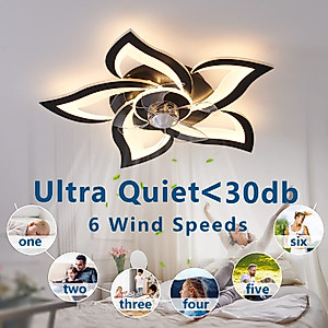 Dalouguan Ceiling Fan with Lights Remote Control, 24" Black, 6 Speeds 3 Light Color Low Profile Flush Mount Ceiling Fan for Kitchen Bedroom