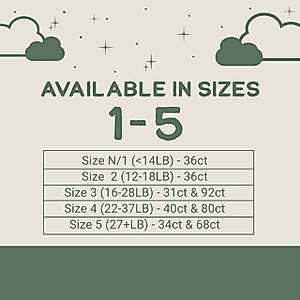 Happy Little Camper Ultra-Absorbent Natural Baby Diapers Size 4 - Hypoallergenic & Chlorine-Free Disposable Diapers Safe for Sensitive Skin - Unscented Toddler Diapers - 160 Count