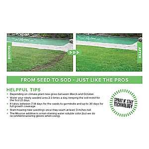 Hydro Mousse Bermuda Grass Seed - Large Refill Bag - Covers up to 1000 Square Feet