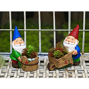 Cliocoo Garden Gnome Statue Planter-Funny Resin Gnome Figurine Holding a Wheelbarrow, Fairy Garden Gnome, Outdoor Décor for Home Lawn Yard Patio, 5.9 Inch (Gnome Holding Wheelbarrow)