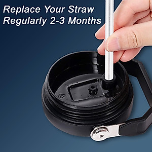 Plastic Straws for Stanley Iceflow 30oz Tumbler,6 Pack Replacement Clear Straws with 2 PCS Straw Cleaner Brush, Reusable Straw for Stanley 30 oz Iceflow Flip Cup (Clear, for Stanley Iceflow 30oz)