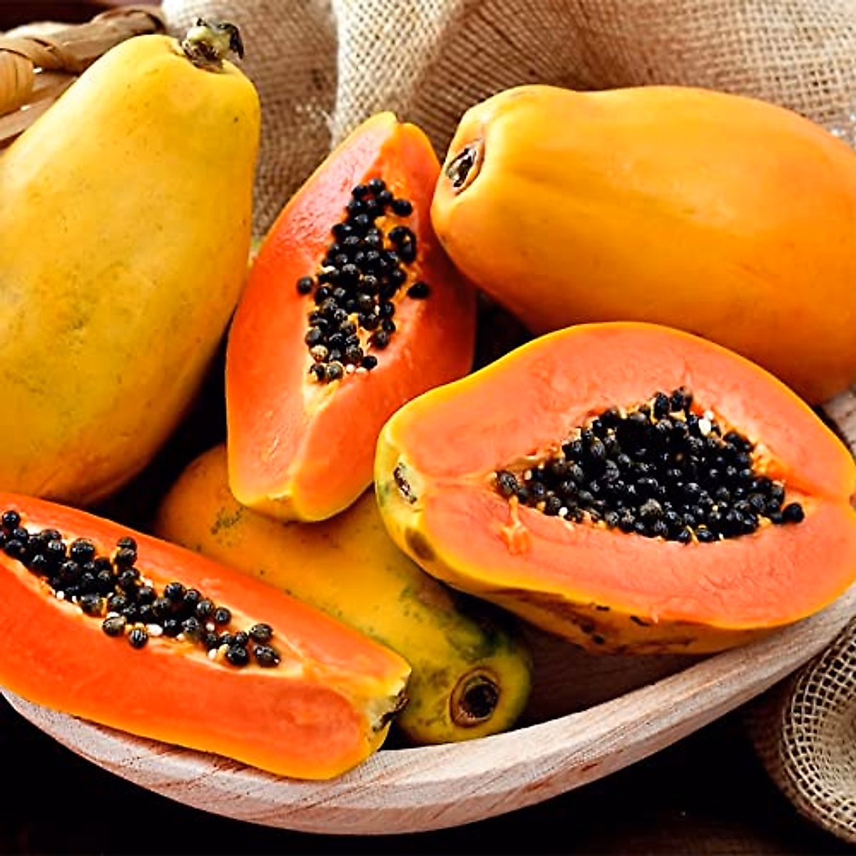 QAUZUY GARDEN 25 Papaya Seeds Pawpaw Paw Paw (Carica Papaya) Tree - Non-GMO Tropical Exotic Delicious Nutritious Fruit Tree Seeds - Easy Grow & Fast-Growing