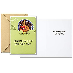 Hallmark Funny Shoebox Funny Thanksgiving Card Assortment (6 Cards with Envelopes)