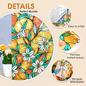 Coavas Window Privacy Film, Frosted Stained Glass Window Film Decorative Window Cling Privacy Film for Glass Windows, Bathroom Non Adhesive Window Tint for Home (Vinyl, 17.5" x 78.7 ")