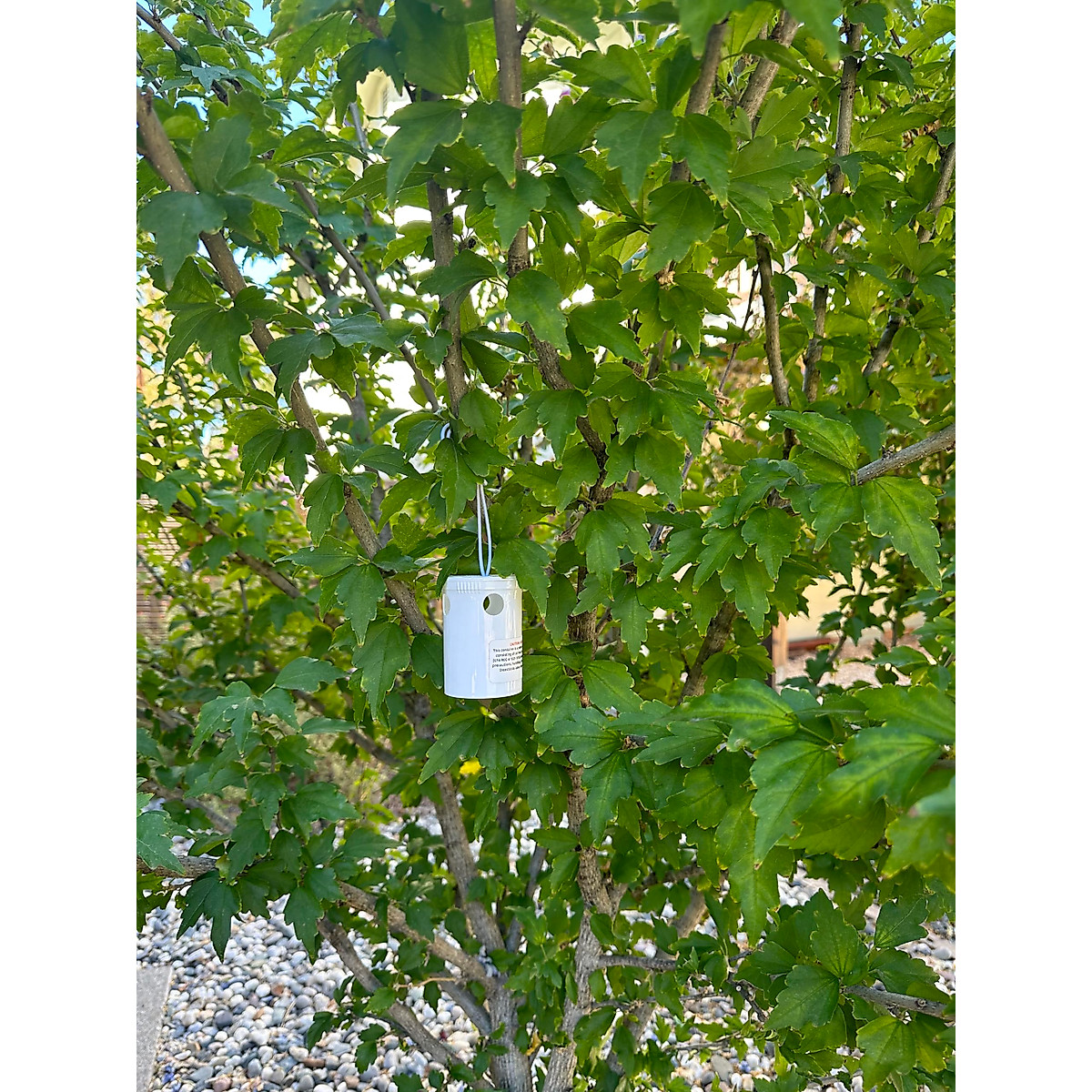 Yellow Jacket Bait Bottle/Station for Pest Control, Microencapsulated Bait, wasp Control