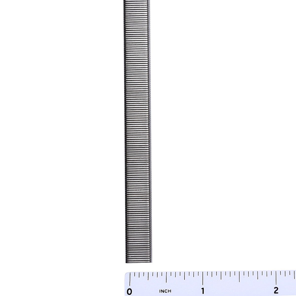 BeA 10004432 Series 71/06SS Stainless Steel Staples 1/4" deep 10,000 per box