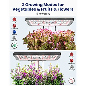 iDOO 12Pods Indoor Garden & 60pcs Baskets