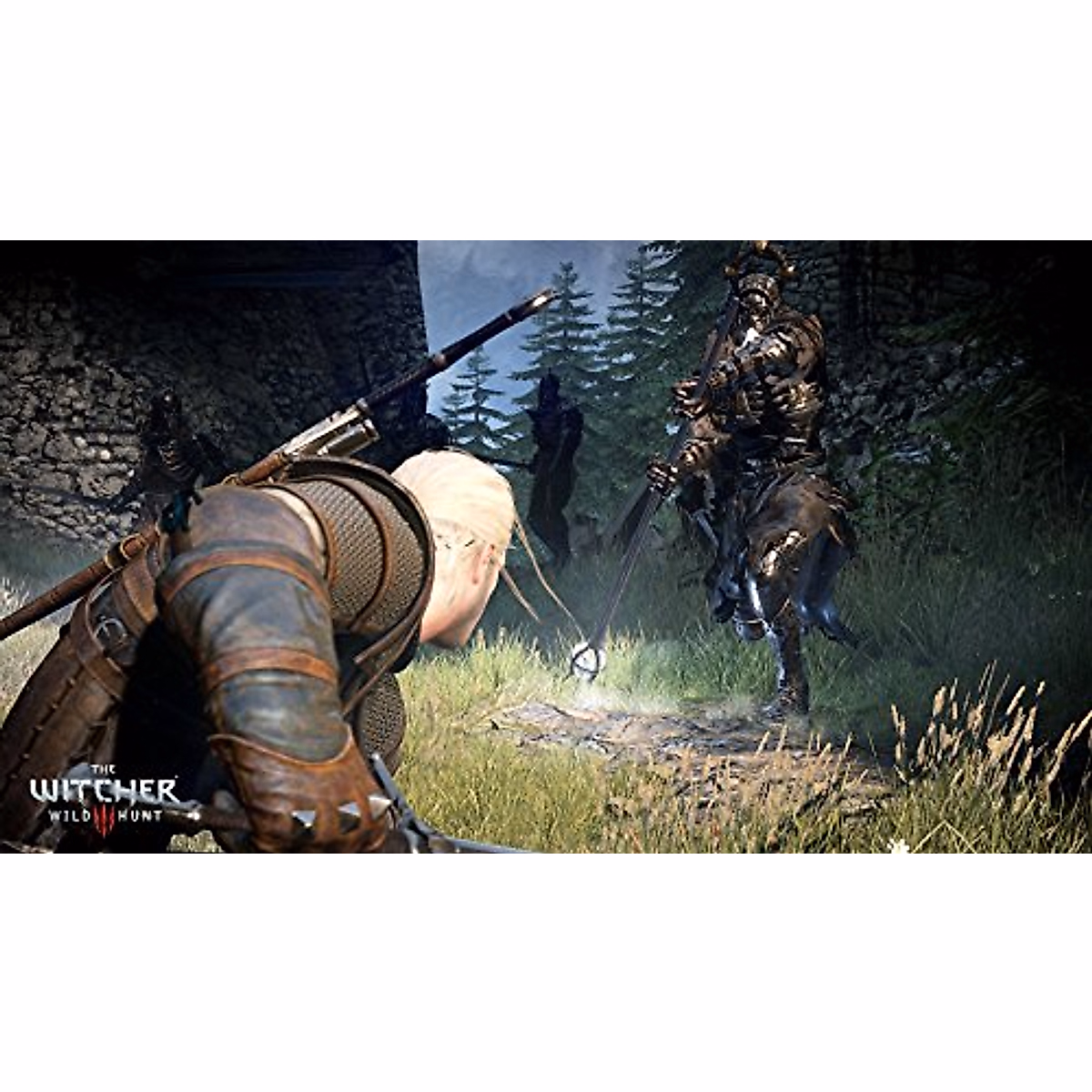 The Witcher: Wild Hunt (Comic Bundle) - PlayStation 4