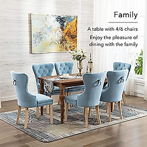 adochr Velvet Fabric Accent Dining Chairs Set of 6, Room for Used Solid Wood with Button and Nailed Trim (Blue)