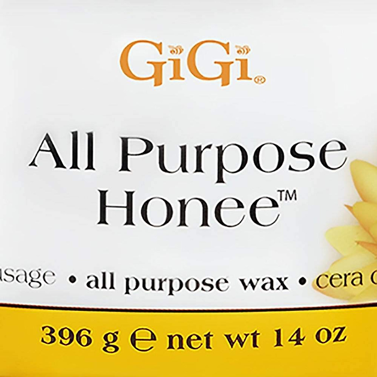 GiGi Professional Waxing Hair Removal Student Starter Kit + Honee Wax, 14 Ounces
