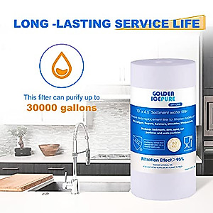 GOLDEN ICEPURE 5 Micron 4.5" x 10" Whole House Sediment Water Filter Compatible for GE GXWH30C GXWH35F, Plumber W10-PR, Culligan RFC-BBSA, W15-PR, Culligan HD-950, WFHD13001B 2PACK
