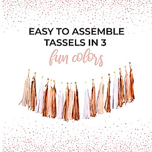 Bachelorette Party Decorations Set, Rose Gold Balloon Garland Kit, Bridal Shower Kit, Bridal Decorations Party, Bridal Shower Decor Kit, Bachelorette Party Pack (Miss to Mrs)