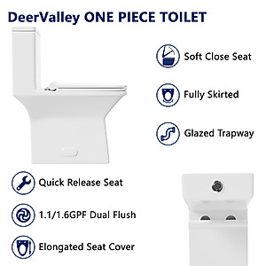DeerValley Elongated One Piece Toilet, DV-1F0072-1 Square Compact Toilets for Bathrooms, Dual Flush 1/1.6 GPF and MaP 1000g, 12'' Rough-In Chair Height 16.93" Ceramic White Toilet With Soft Close Seat