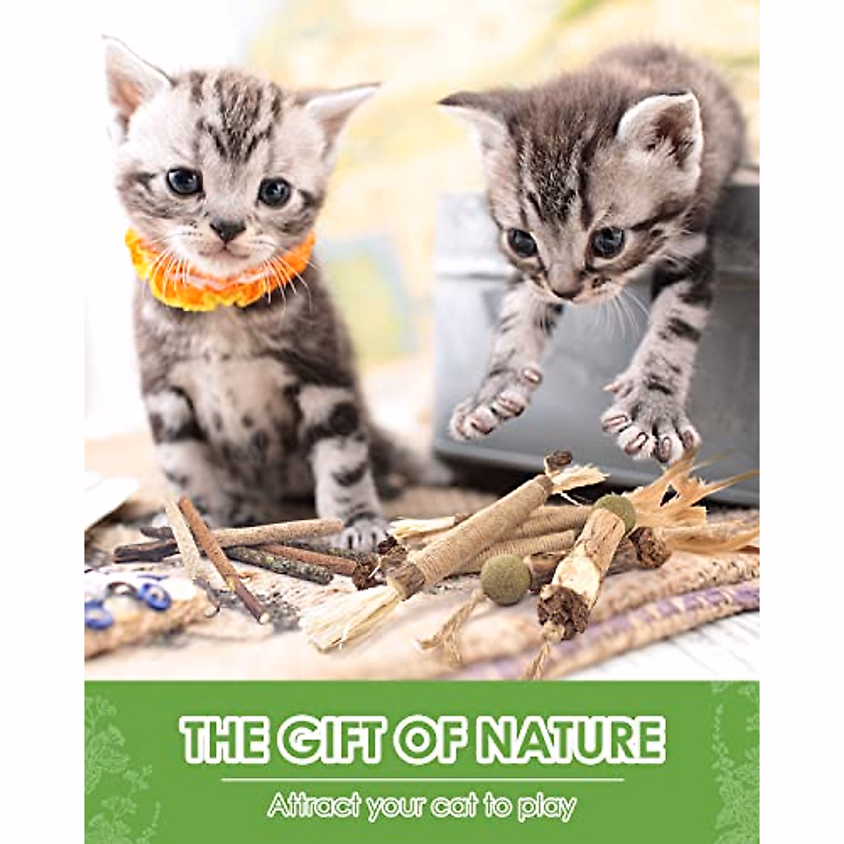 Catnip Chew Toys for Cats, 12 Pack Natural Silvervine Sticks for Kittens Teeth Cleaning, Matatabi Dental Care, Increase Appetite, Calm Cat Anxiety and Stress, Aggressive Chewers Cat Dental Toy