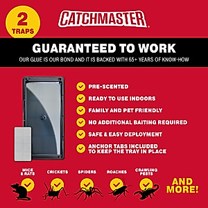 Catchmaster Rat & Mouse Glue Traps with Sticky Putty 2Pk, Large Bulk Glue Rat Traps, Mouse Traps Indoor for Home, Pre-Scented Adhesive Plastic Tray, Snake, Mice, & Spider Traps, Pet Safe Pest Control