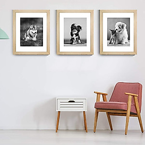 Meetart Picture Frames 11x14 inch Pack of 3 Piece in Plastic Glass MDF Shallow wooden-grain Color Frame, Display Pictures 11x14 8x10, Wall Hanger Vertical and Horizontal.