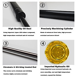 Beneges Truck Tailgate Assist Kit for 2002-2009 Dodge Ram 1500 2500 3500 Pick Up Struts Shocks Dampers 43300