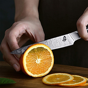 TUO Kitchen Utility Knife, 5 inch Paring Knife, Forged AUS-8 Japanese Steel, Non-Serrated Steak Knife, Ergonomic G10 Full Tang Handle with Gift Box, Falcon S Series