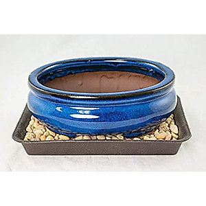 6" Oval Dark Blue Mame Shohin Bonsai/Succulent Pot + Tray + Rock + Mesh Combo