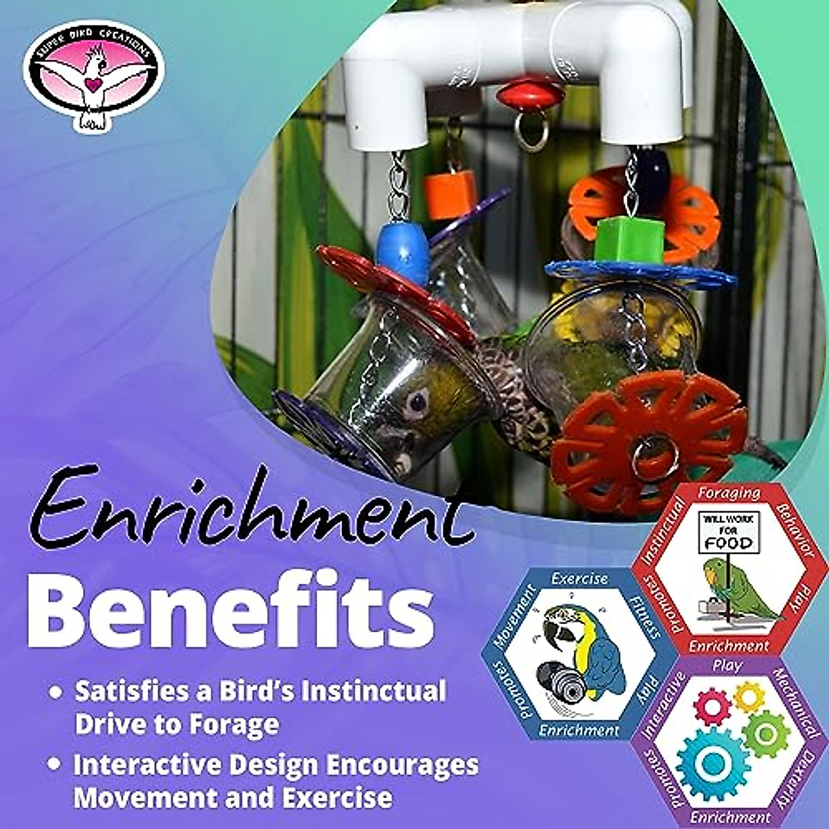 Super Bird Creations SB634 Foraging 4 Way Forager Bird Toy with Clear Acrylic Cups, Medium/Large Bird Size, 12"x7"x7"