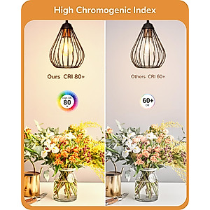 EDISHINE Vintage LED Edison Bulbs 8W, 60W Equivalent, 2200K Amber Warm Light, ST58 Antique Edison Light Bulb with 80+ CRI, A19 Dimmable Light Bulbs, 700LM, E26 Medium Base, 6 Pack