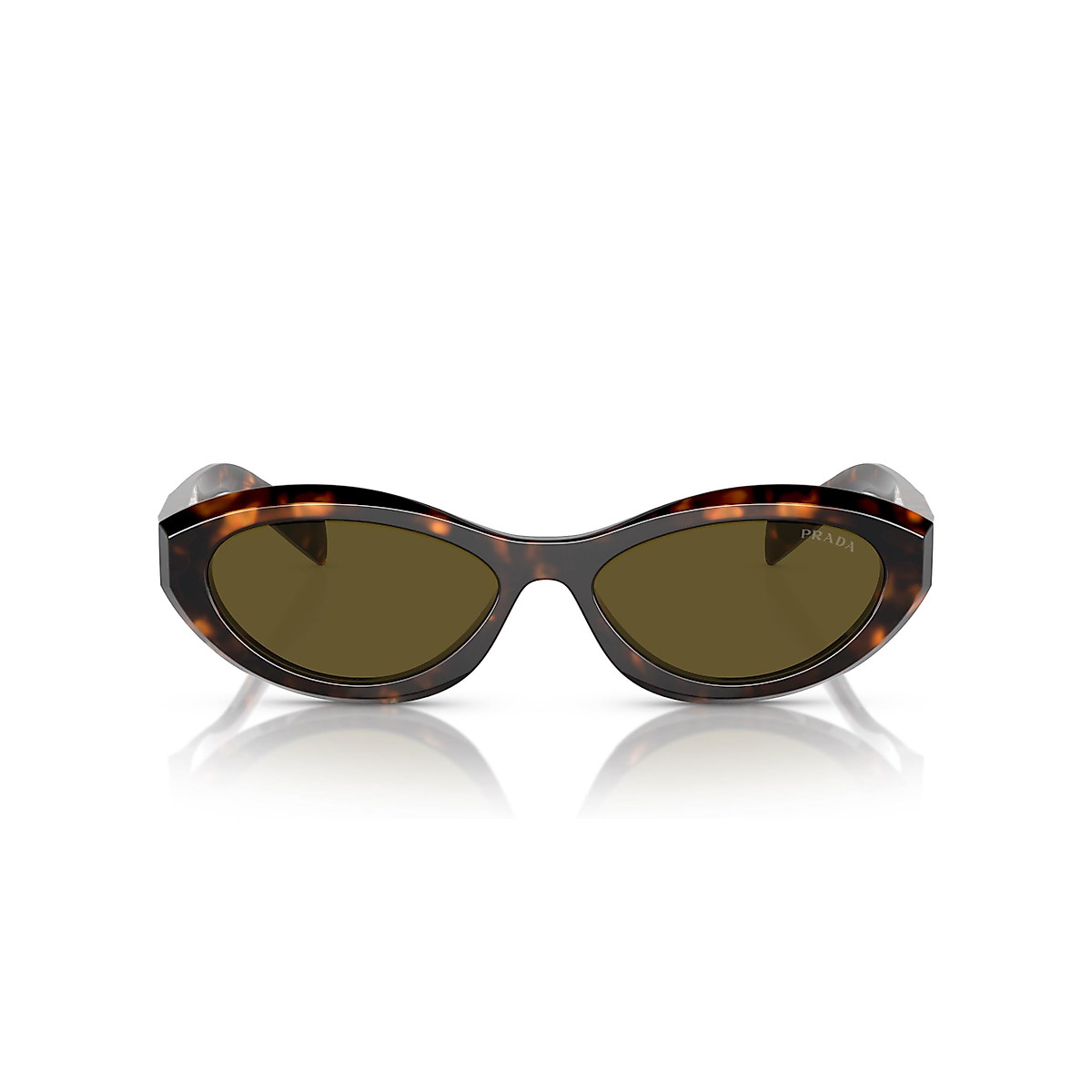 Prada PR 26ZS Honey Tortoise/Dark Brown One Size