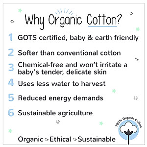 Lamaze Organic Baby Girls Stretchie One Piece Sleepwear, Baby and Toddler, Zipper, Pink Fruit, 9 Months