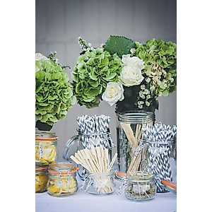 Le Parfait Familia Wiss Terrine Wide Mouth French Glass Jar w/Airtight 2-Piece System Gold Lids | Ideal for Food Storage, Canning, Meal Prep, Cake Jar & DIY Crafts | 24oz Pint/Half (Pack of 6) 750ml