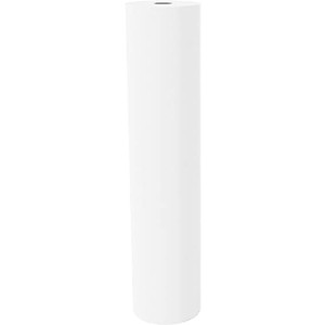 Pentair OMNIFilter RS18-20 Sediment Water Filter, 20-Inch, Whole House Heavy Duty Spun Polypropylene Replacement Cartridge, 20" x 4.5", 50 Micron,White