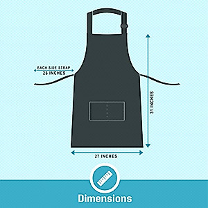 I Can Do This I Saw a TikTok Video Apron, Funny Apron for Men, BBQ Grill Apron, Funny Apron for Dad