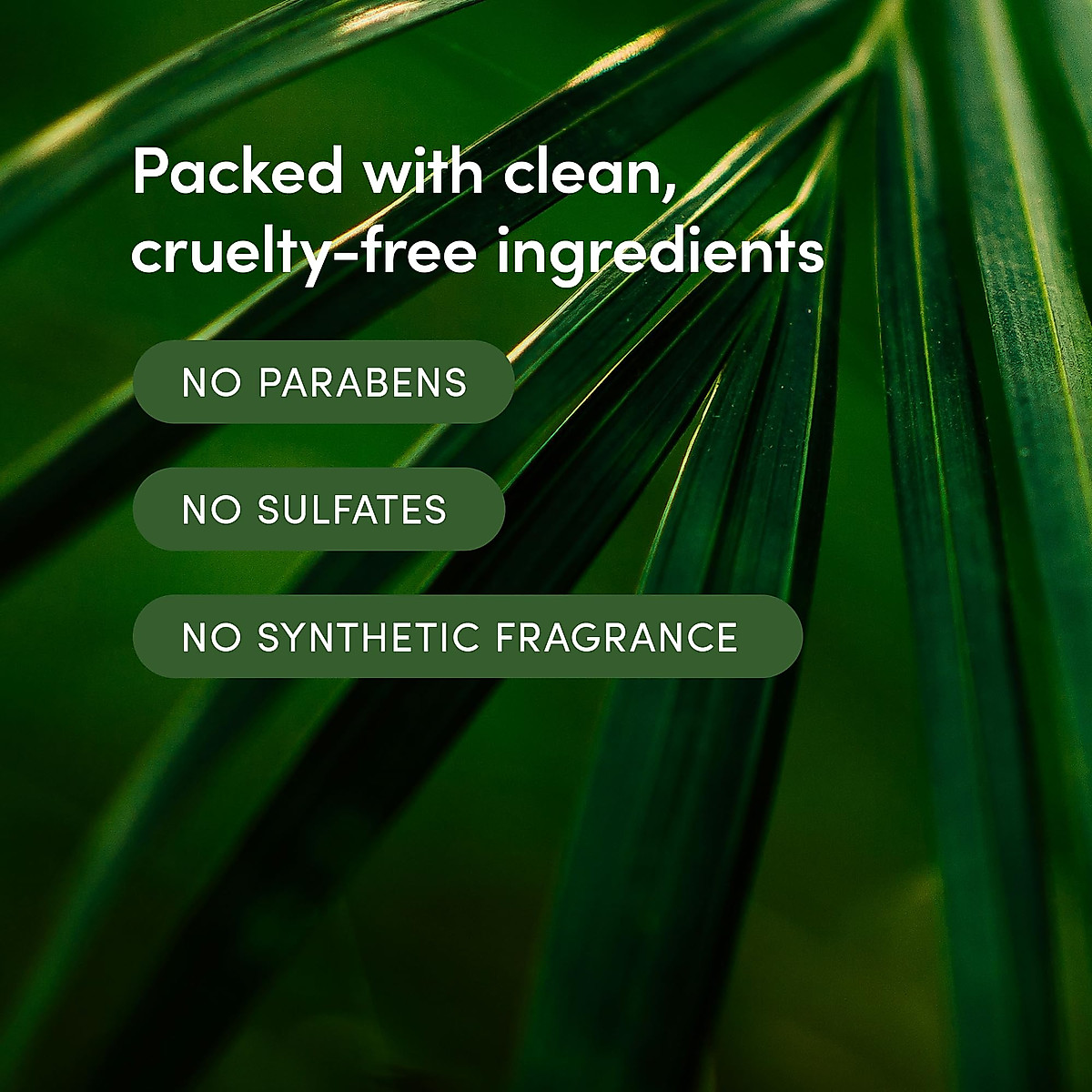 LATHER - Bamboo Lemongrass Hair Wash, 8 fl oz (2-Pack) - Daily Shampoo & Cleanser - Revitalize Hair - Bamboo, Comfrey, Chamomile - Sensitive Skin Safe - Vegan & Cruelty Free - Beauty & Hair Care