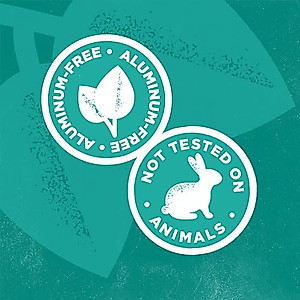 Tom's of Maine Antiperspirant Deodorant for Men, North Woods, 2.8 oz, Pack of 3 (Packaging May Vary)